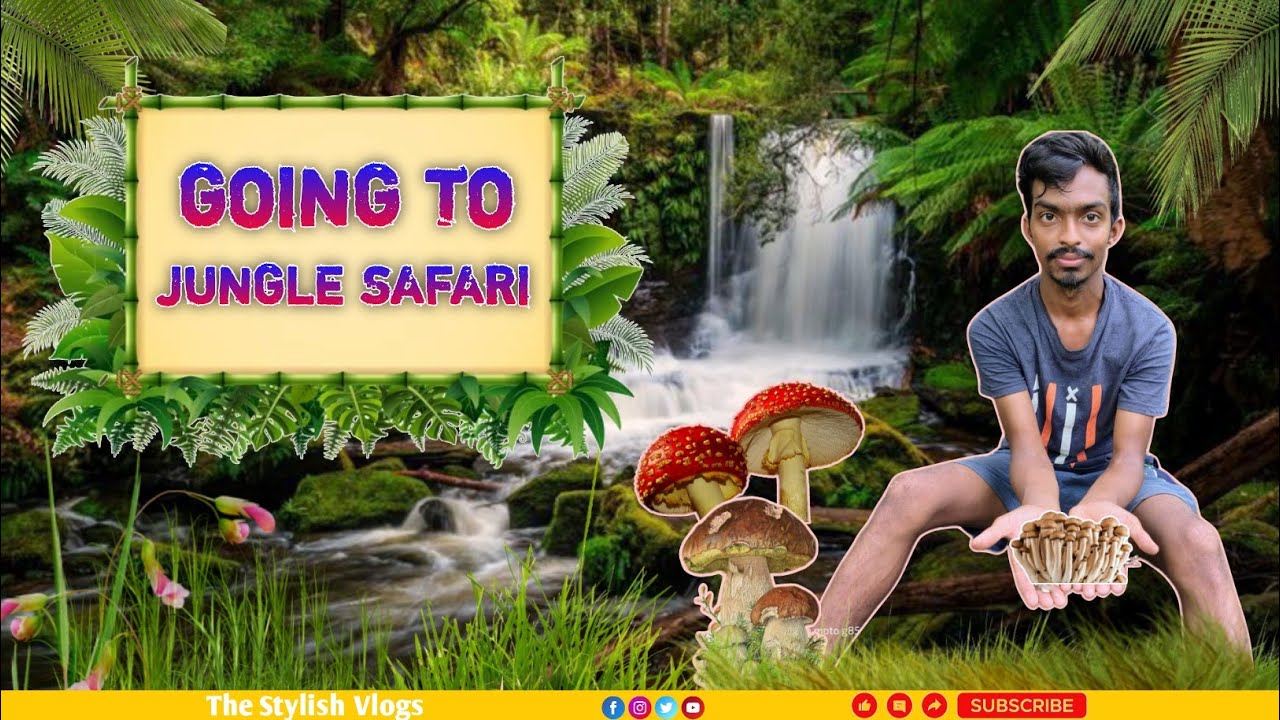 JUNGLE SAFARI || "Wandering Wild: An Aimless Journey Through the Jungle ...