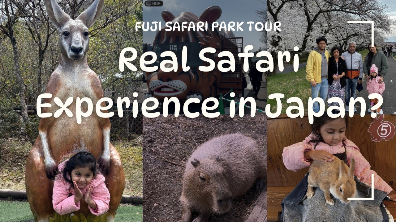 Fuji Safari Park Adventure – Drive-Through Wild Animal Zone! #travel # ...