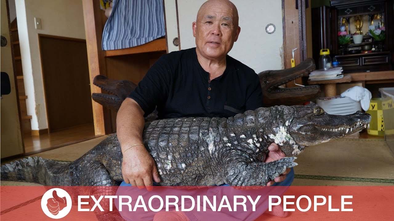 Brave Man Lives With Pet Caiman - YouTube