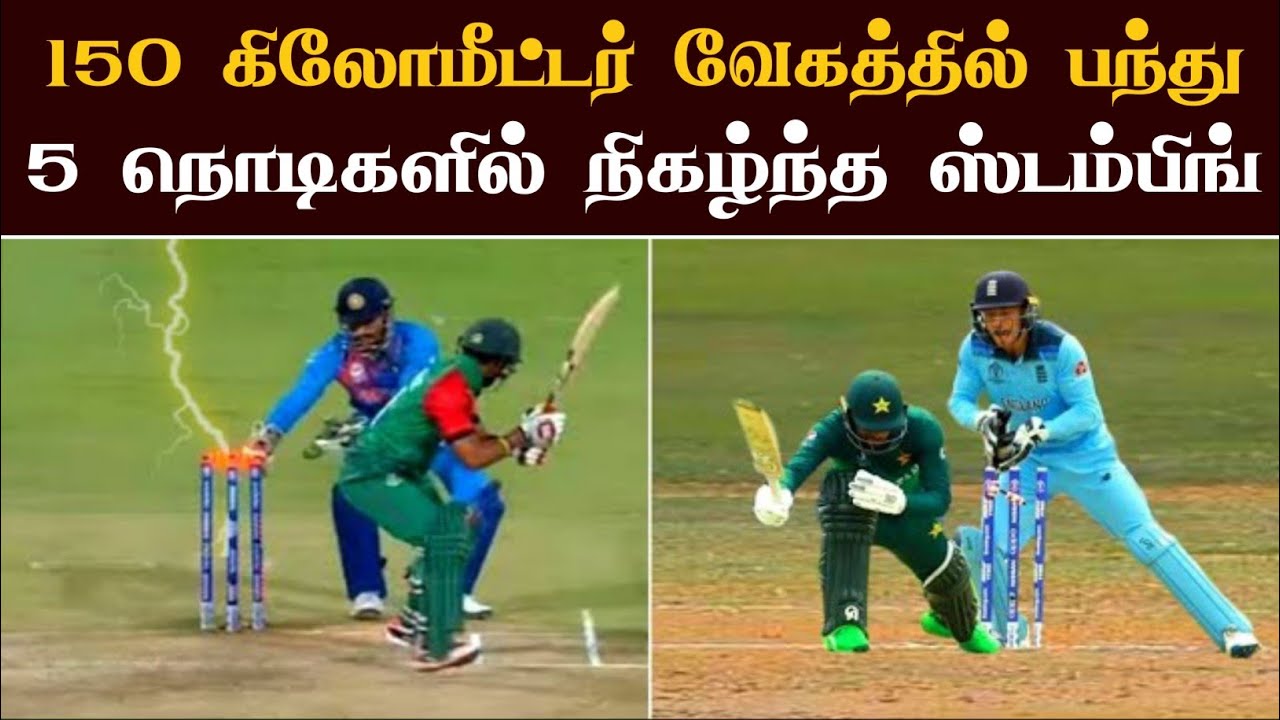 Stumping in Fast Bowling | Top 10 Speedy Stumping in Cricket | Quickest ...