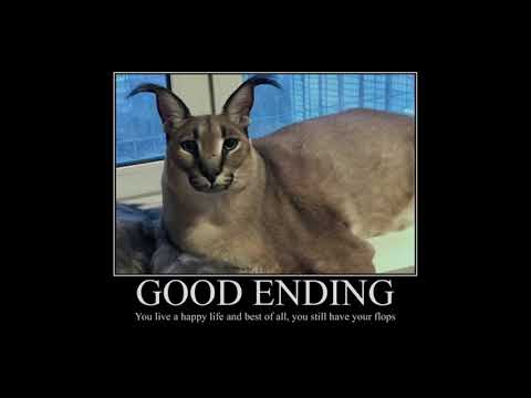 Floppa Endings | Big Floppa | Know Your Meme