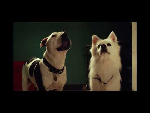 Beverly Hills Chihuahua 3 fixing gardens ￼