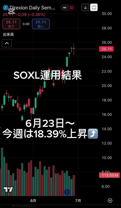 SOXL 3倍レバレッジ 半導体 運用結果#米国株#soxI #shorts - YouTube