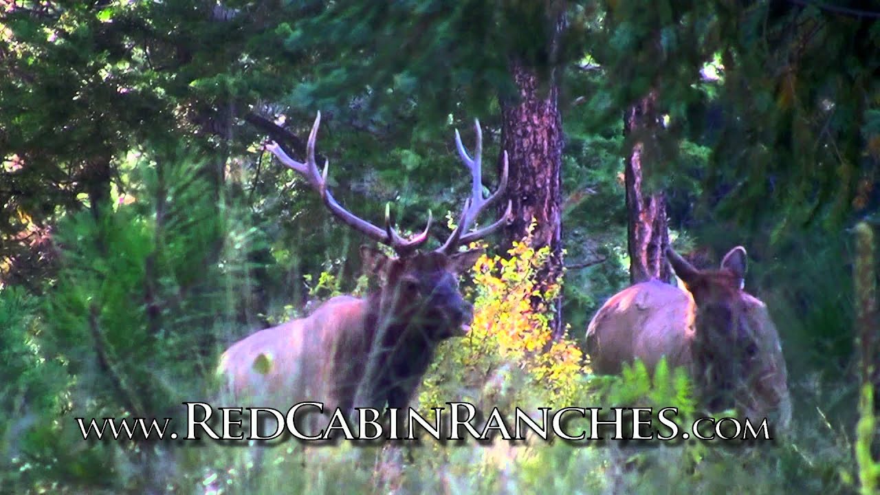 Red Cabin Ranch 30 Spot - YouTube