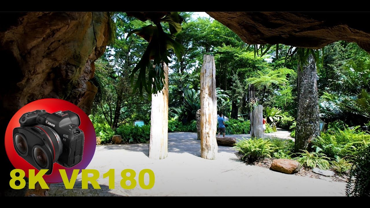 CAVES AND PETRIFIED WOOD Singapore UNESCO Botanical Gardens 8K/4K VR180 ...