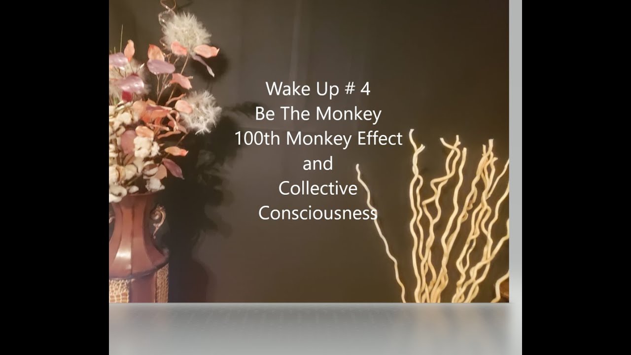 100th Monkey Effect 4 Making Sense of Spiritual Concepts - YouTube