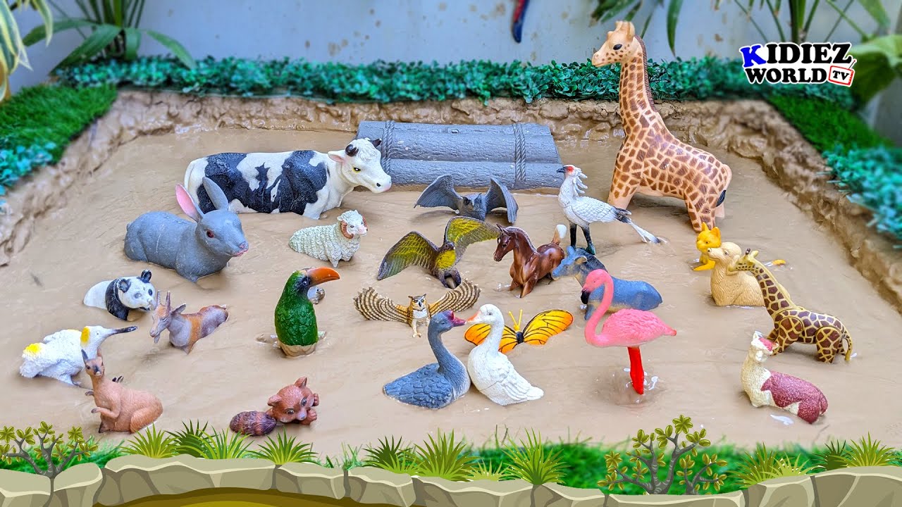 Fun Learning with Birds, Cute Domestic & Zoo Animals in Muddy Sandbox ...