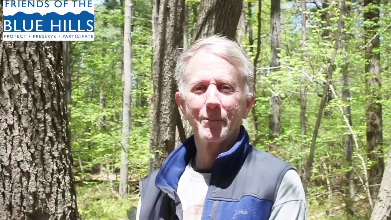 Rick Kesseli is a member of the Friends of the Blue Hills because ...