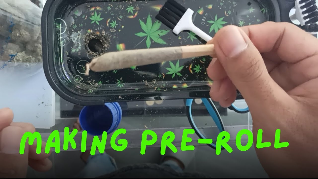 Making Pre-roll ☘️🌱 - YouTube