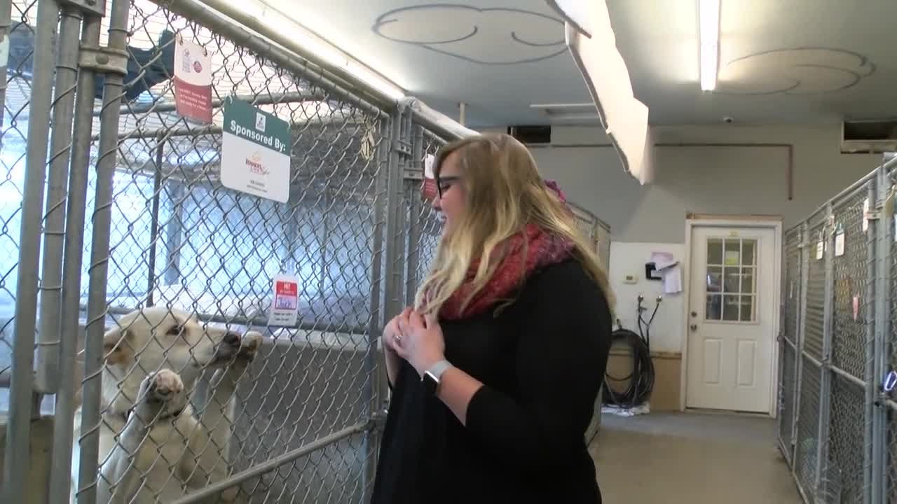 Lewis and Clark Humane Society names new Executive Director - YouTube