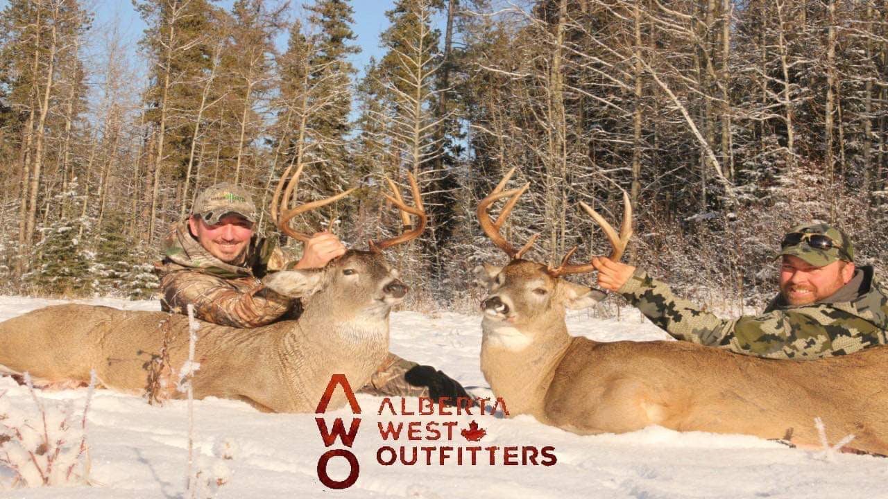Chasse aux chevreuils Alberta 2019 - YouTube