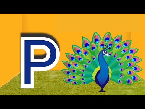 p for peacock|p for peahen|abcd|a to z|rhymes for kids|#shorts# ...