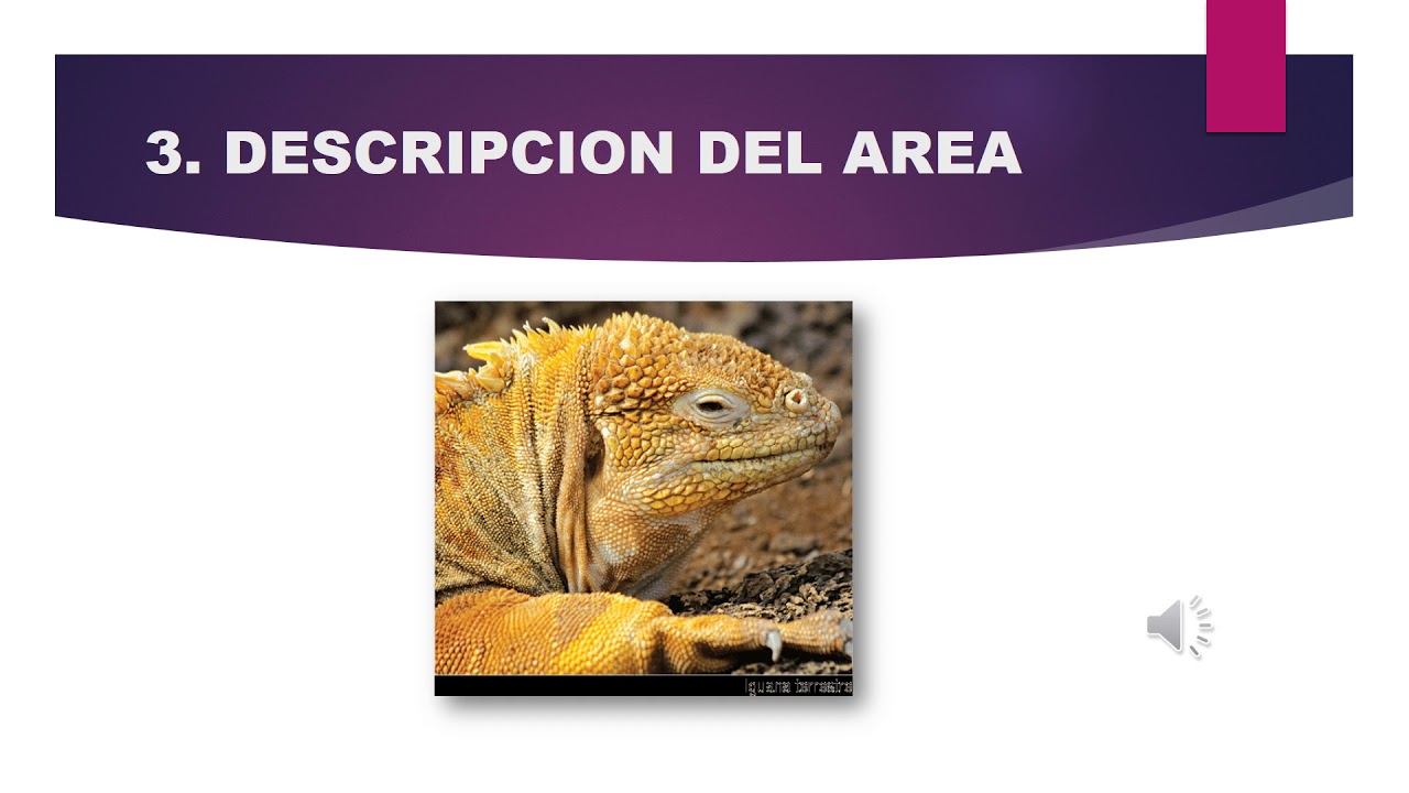 Refugio de Vida Silvestre Marino Costera Pacoche - YouTube