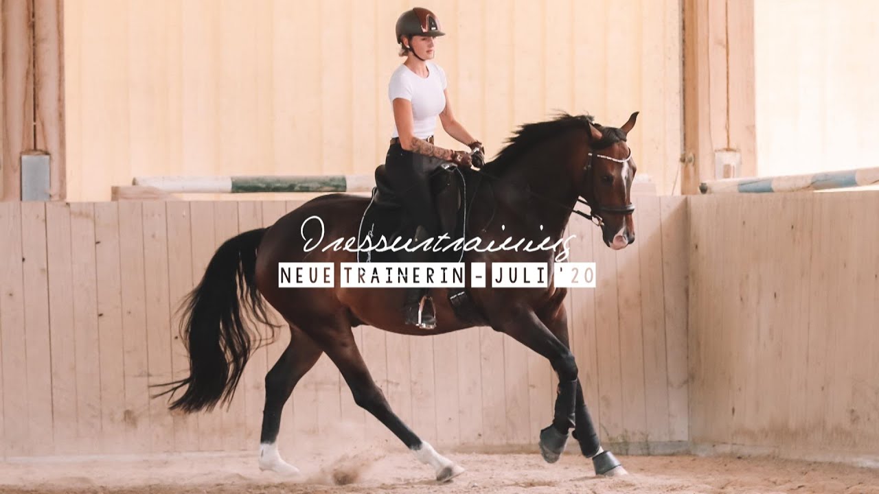 Kommentiertes Dressurtraining | neue Trainerin | Juli '20 - YouTube
