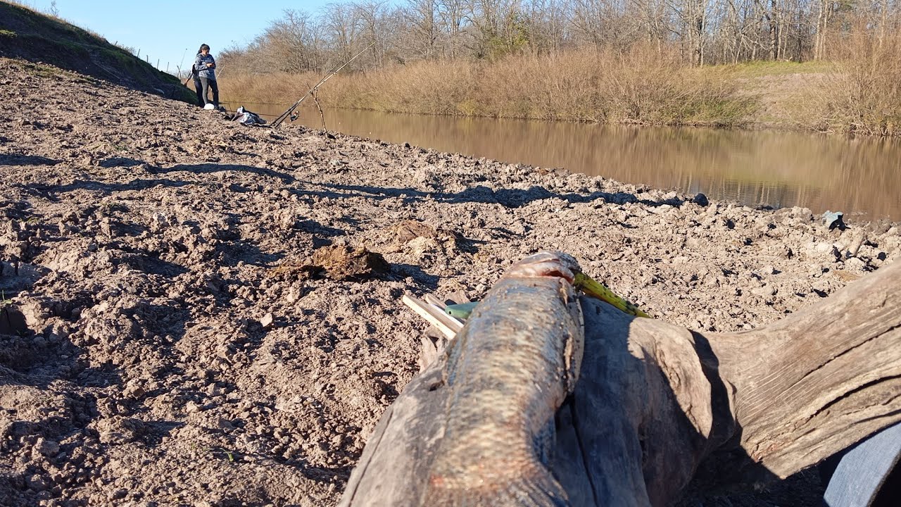 PESCANDO Y CONOCIENDO LUGARES NUEVOS ~ TARUCHA GIGANTE, PESCA Y ...