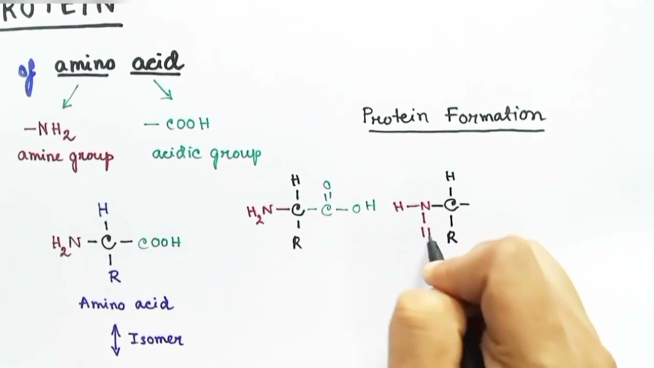 Protein Structure Biochemistry | English | by Snigdha Goswami - YouTube