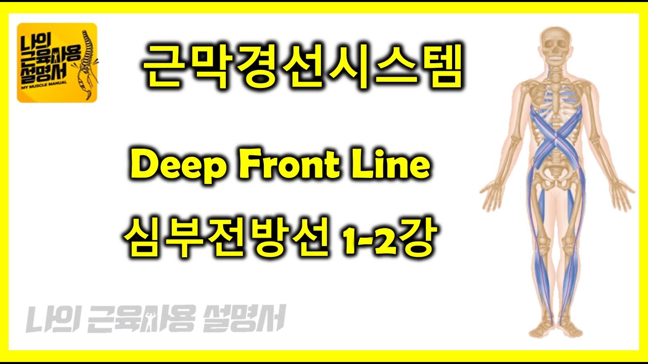 [51강] 심부전방선 Deep Front Line 1-2강 - YouTube