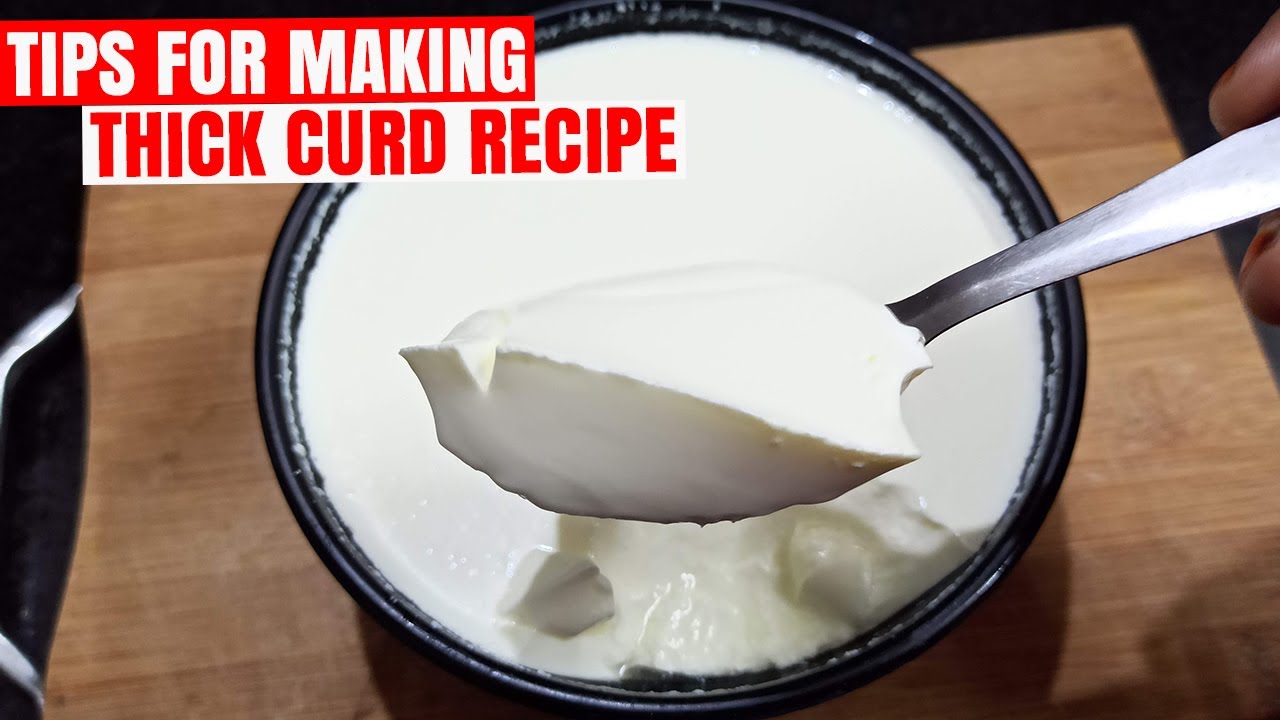 Home made thick curd in home | Hotel thick curd recipe | How to make ...