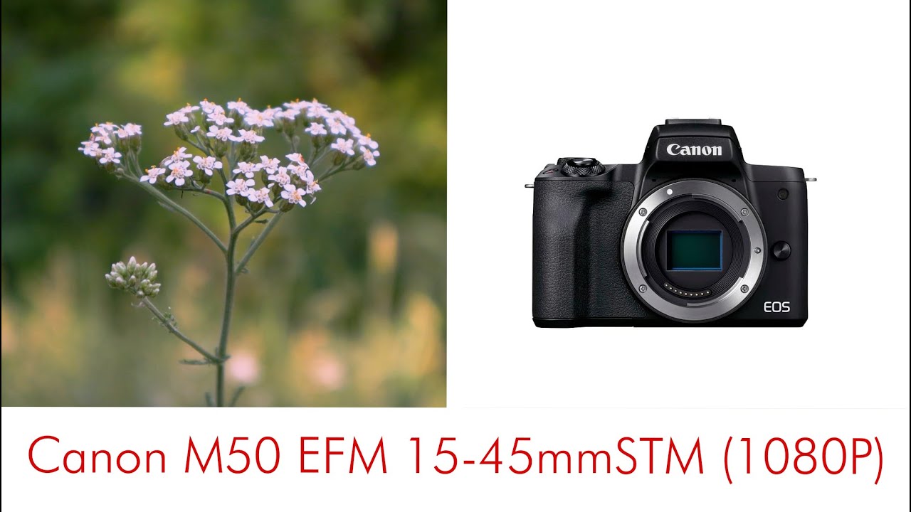 Canon Eos M50 EF-M15-45mm 1080p60 - YouTube