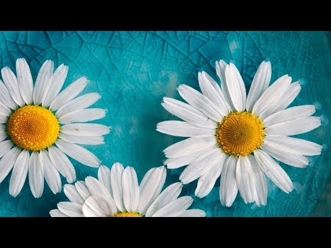 Unutmayalım. En Güzel Gün Bugün. Çünkü