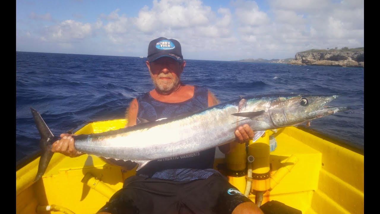 Released shark, wahoo, barracuda and small tuna's: fishing with Deckie ...