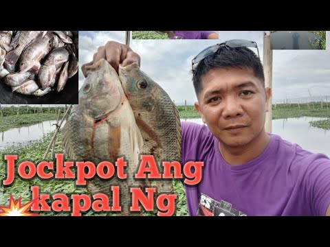 PANGHUHULI NG ISDA./LAGUNA LAKE TIKSAY HUNTING/AIRGUN FISHING/FISHING ...
