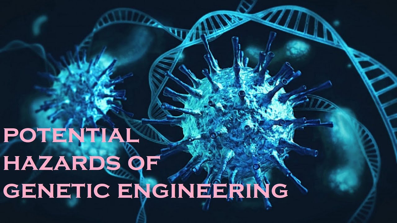 Potential Hazards of Genetic Engineering - YouTube
