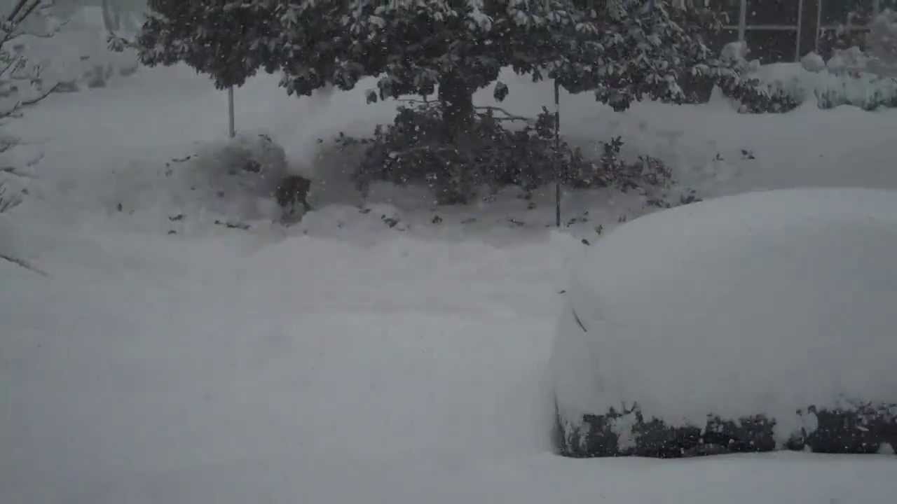 Snowmaggedon in Washington, DC! - YouTube