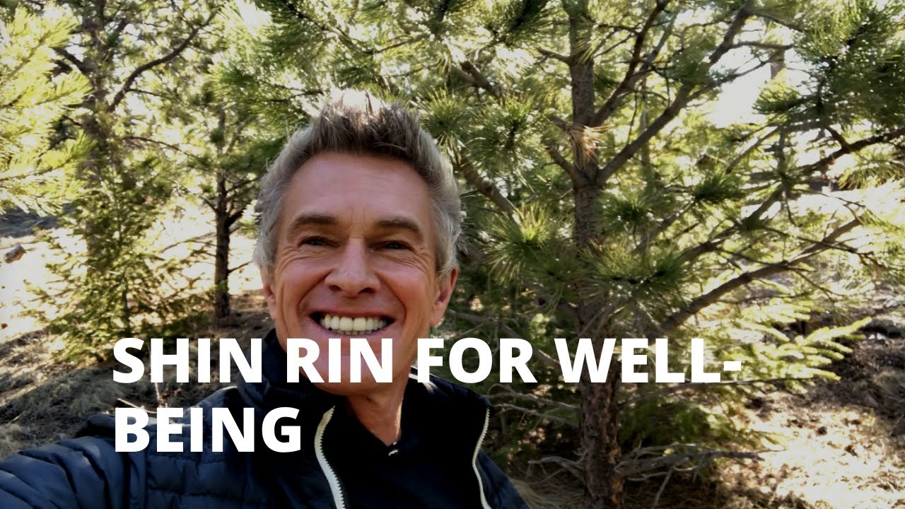 Shin Rin Roku for Well-Being - YouTube