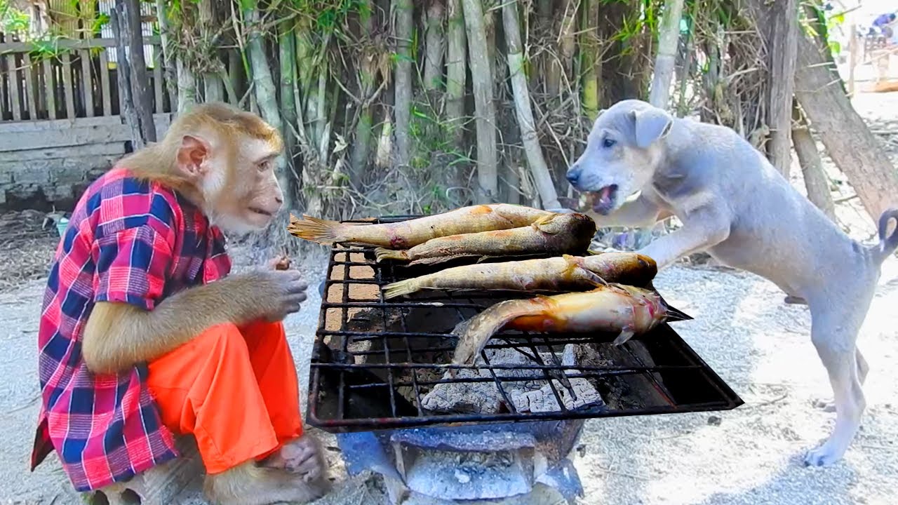 SokYaa & Halaand Eat Fish Buffet Delicious, Best Video - YouTube