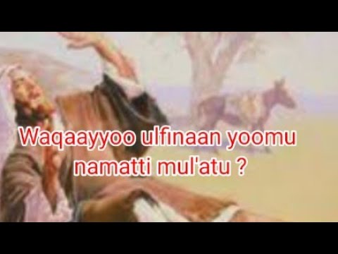 Waqaayyoo ulfinaan yoomu namatti mul'atu wantota ta'aan? - YouTube