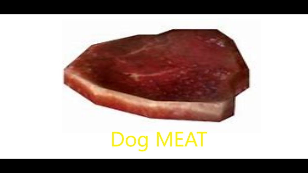 SPAWNING 1/10/100/1000 DOG MEAT (FALLOUT 3 ) - YouTube