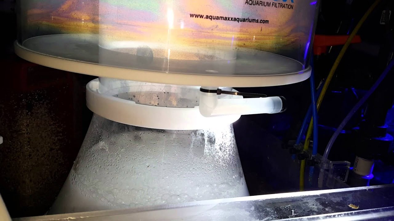 Aqua Maxx ConeS CO-6 v2 - YouTube