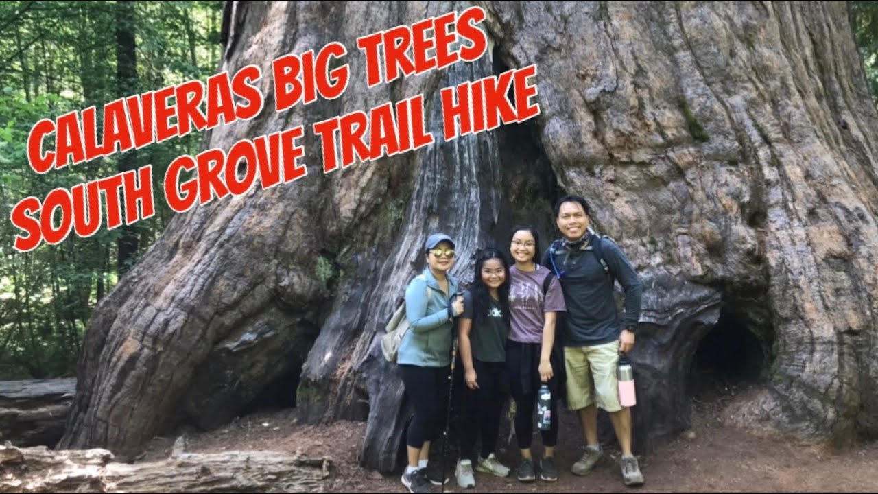 Calaveras Big Trees, South Grove Trail hike - YouTube