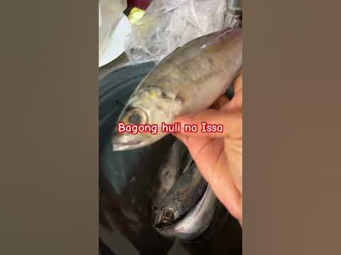 Masarap na isda bagong huli#sarapnaulam - YouTube