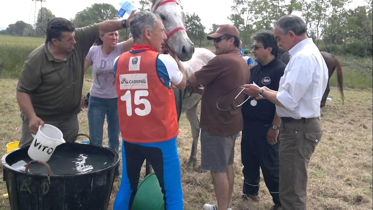 Un grande campione - VITO PADULA - YouTube