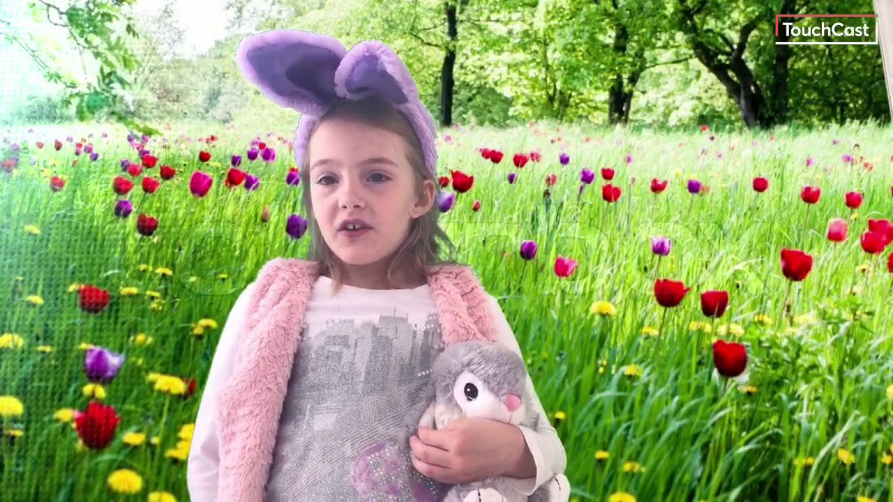 Sammy video - YouTube