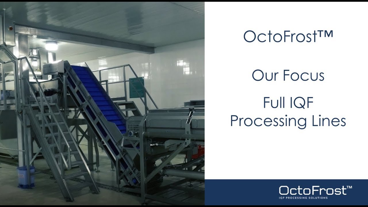 About OctoFrost – Our Focus: Complete IQF Processing Lines - YouTube