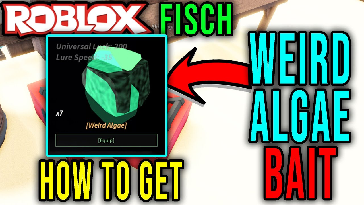 WEIRD ALGAE BAIT - HOW TO GET [FISCH] - Roblox - YouTube