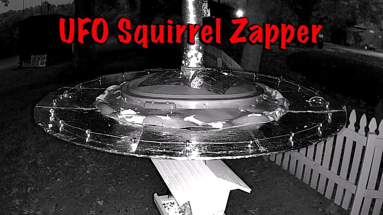 UFO SQUIRREL ZAPPER - Squirrel Wars - Episode 3 - Impenetrable Squirrel ...