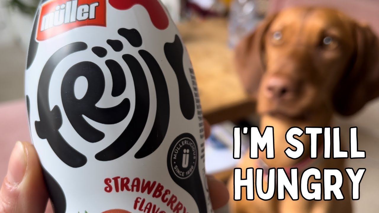 Signs I was Still HUNGRY & Needed to EAT MORE // ED Recovery - YouTube