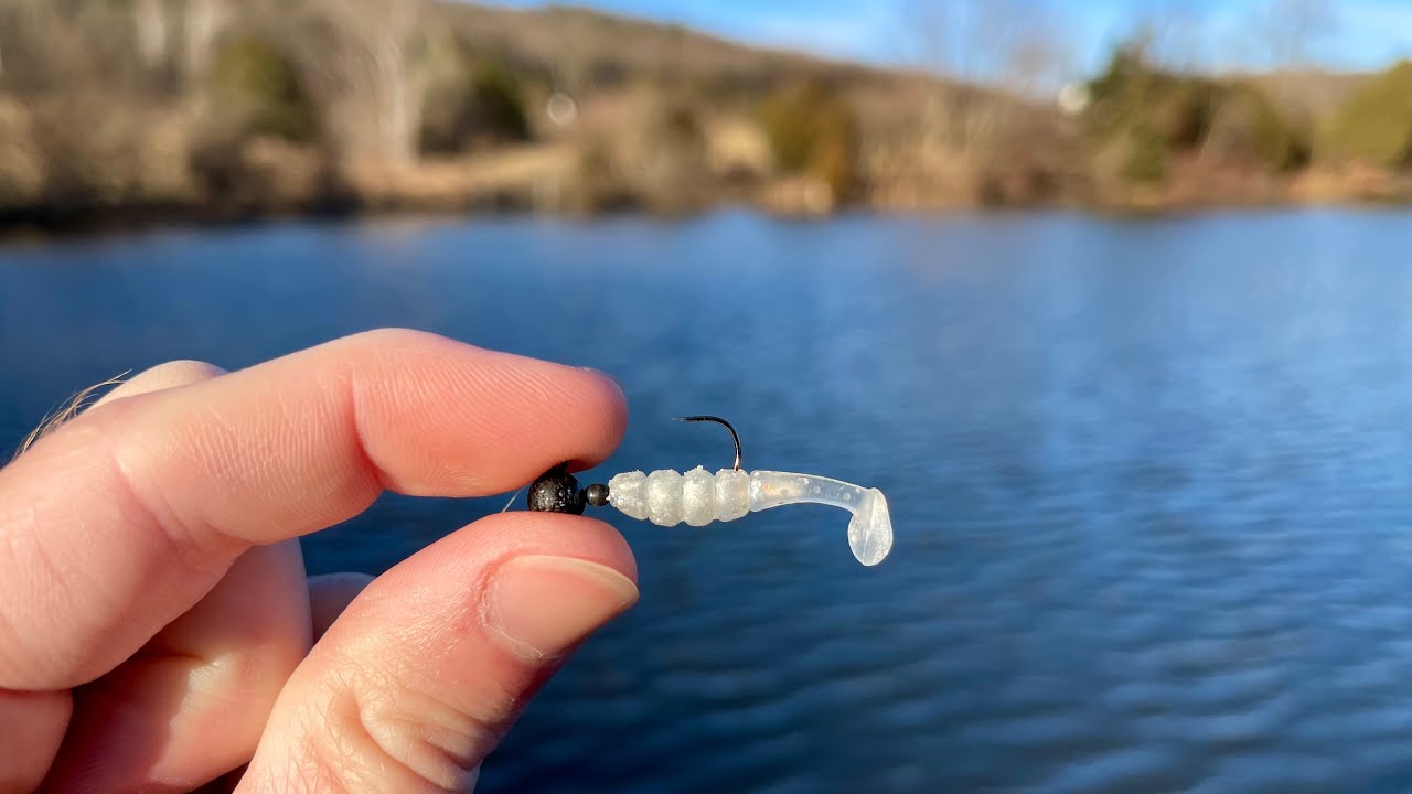 This TINY Lure is a Fish Catching Machine! (Pond Fishing) - YouTube