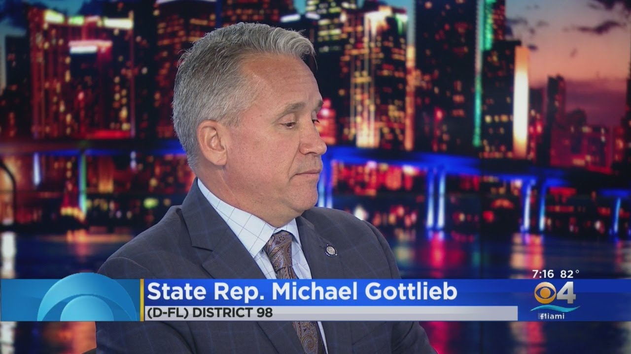 State Rep. Michael Gottlieb On New Proposed Legislation - YouTube