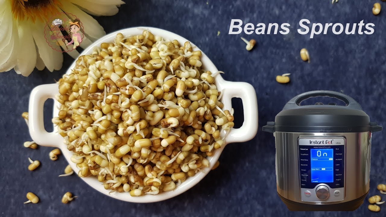 How to Make Sprouts in Instant Pot | कडधान्यानां मोड कसे आणावे - YouTube