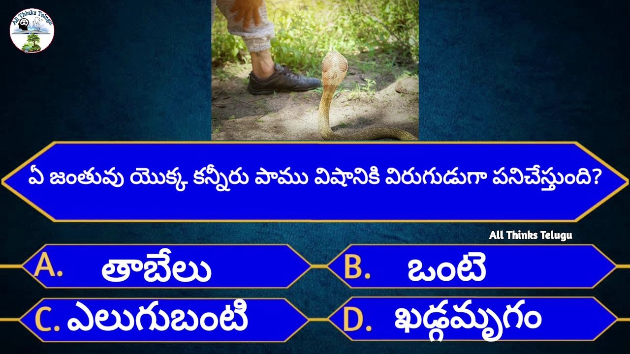Interesting Questions In Telugu|Episode-27|By All Thinks Telugu|Unknown ...