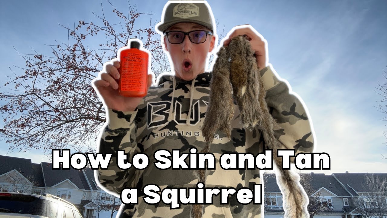 How to SKIN AND TAN a Squirrel 🐿️!!! (Great results)!! - YouTube