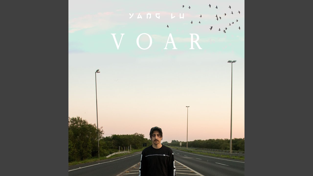 Voar - YouTube