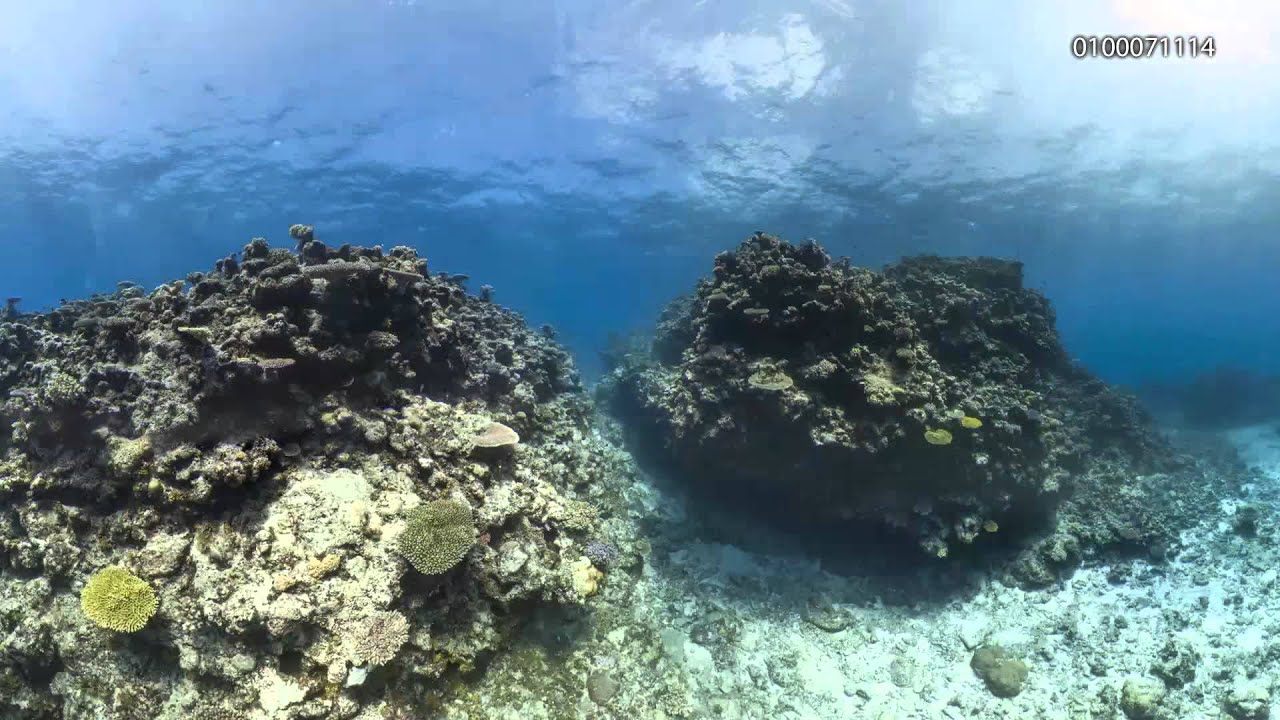 Holmes Reef - 0100070906 - YouTube
