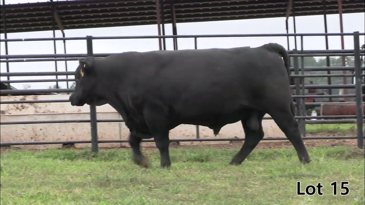 McCloud Farms Lot 15 - YouTube