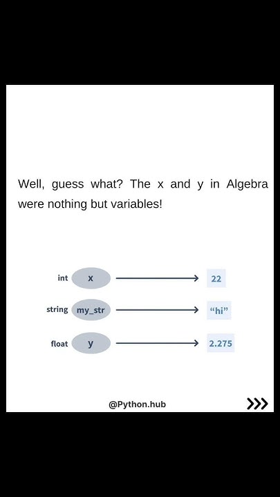 Variables In Python Coding Programming Python Programmer Trending Highlights Youtube